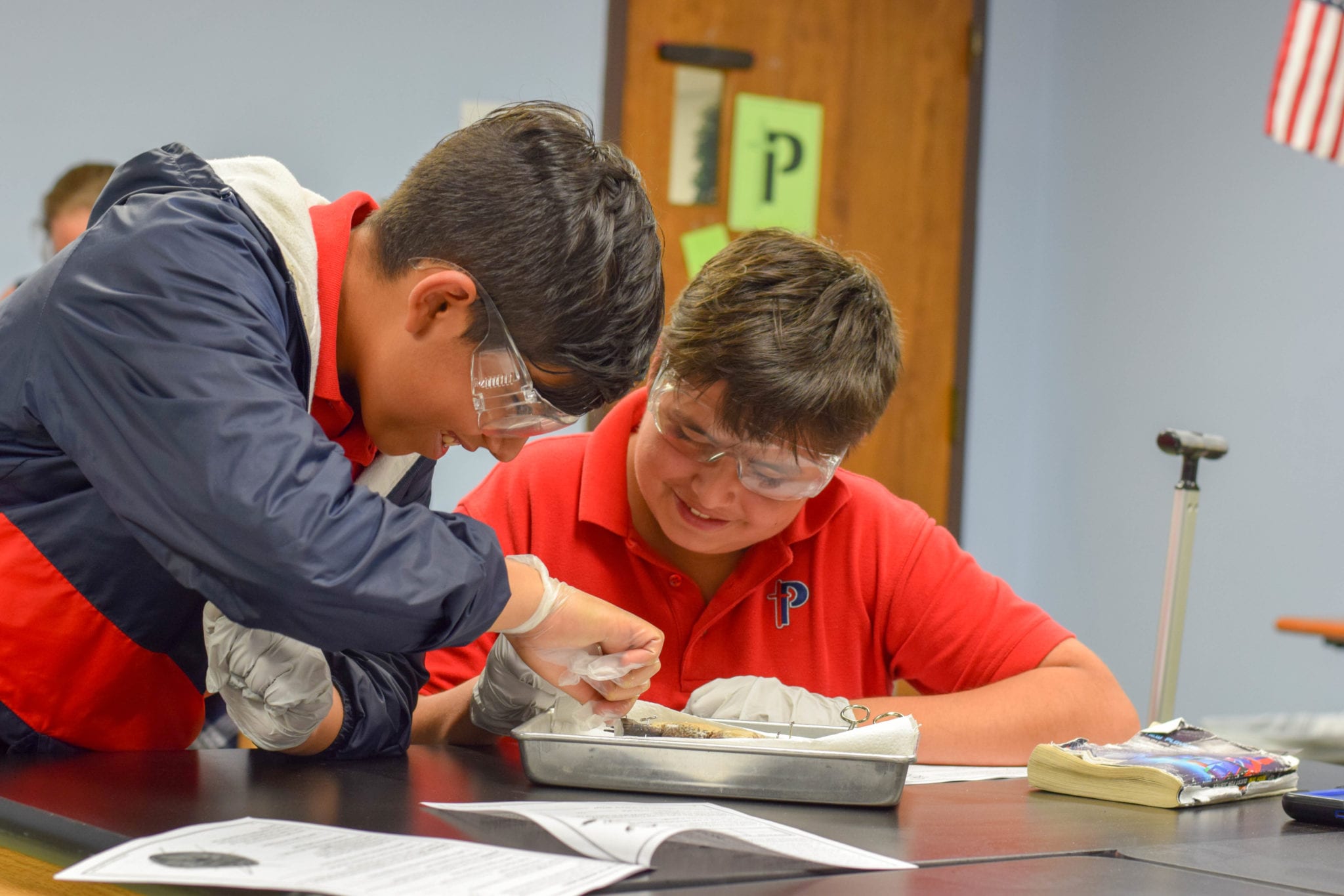 Sixth Grade Life Science Frog Dissection - Parkview Baptist ...