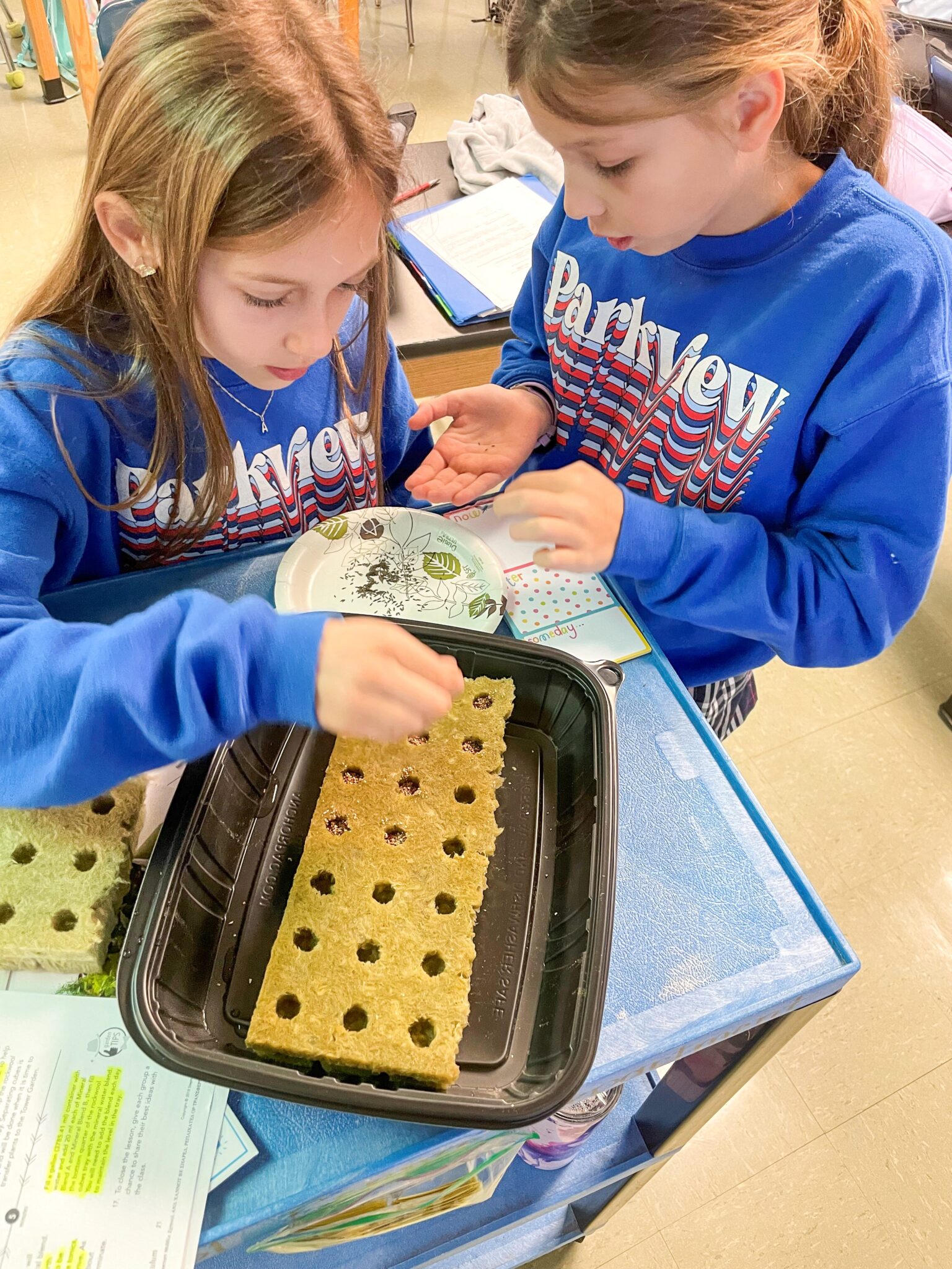 5th Grade Plant Project - Parkview Baptist SchoolParkview Baptist School