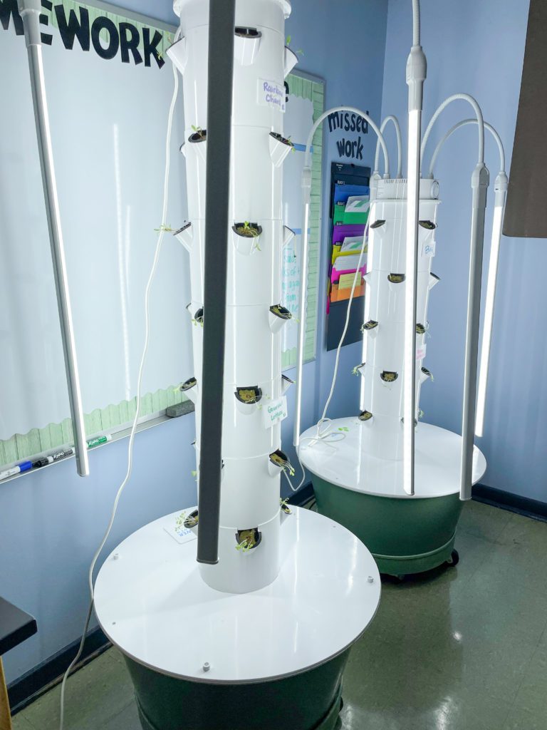 5th Grade Plant Project - Parkview Baptist SchoolParkview Baptist School