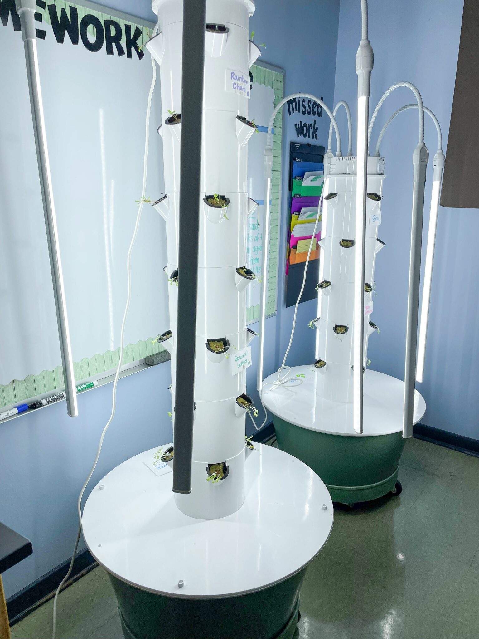 5th Grade Plant Project - Parkview Baptist SchoolParkview Baptist School