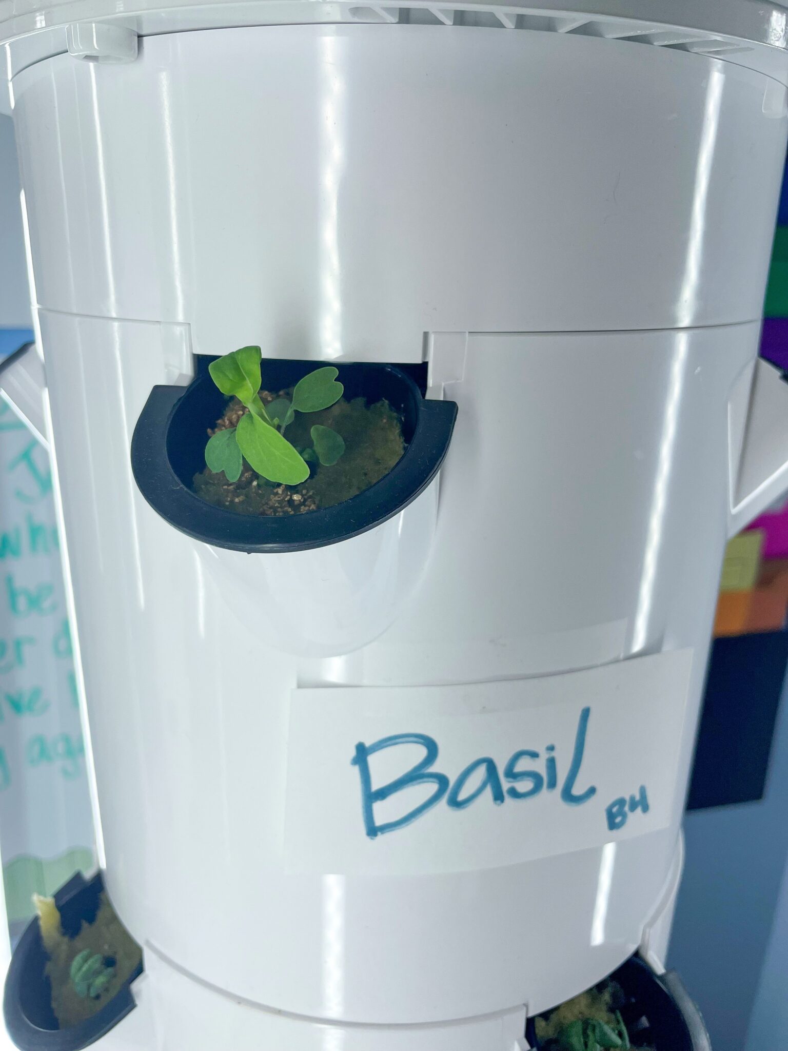 5th Grade Plant Project - Parkview Baptist SchoolParkview Baptist School